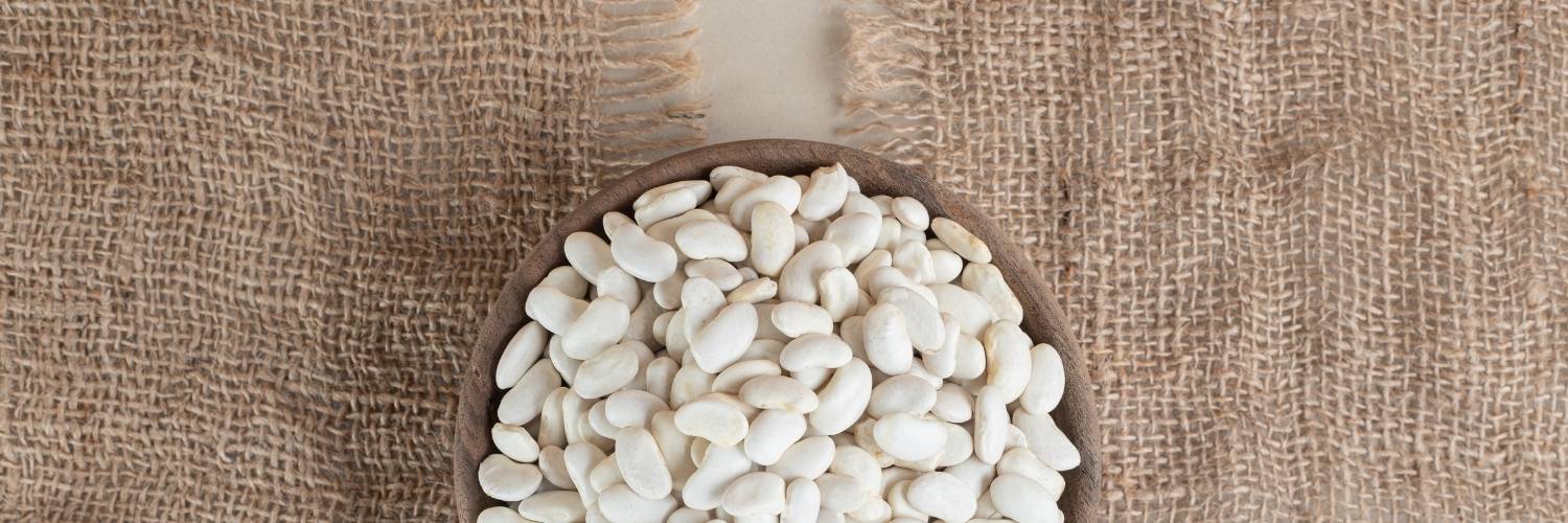 Dermason Fasulye Nedir ? | sonsepet.com